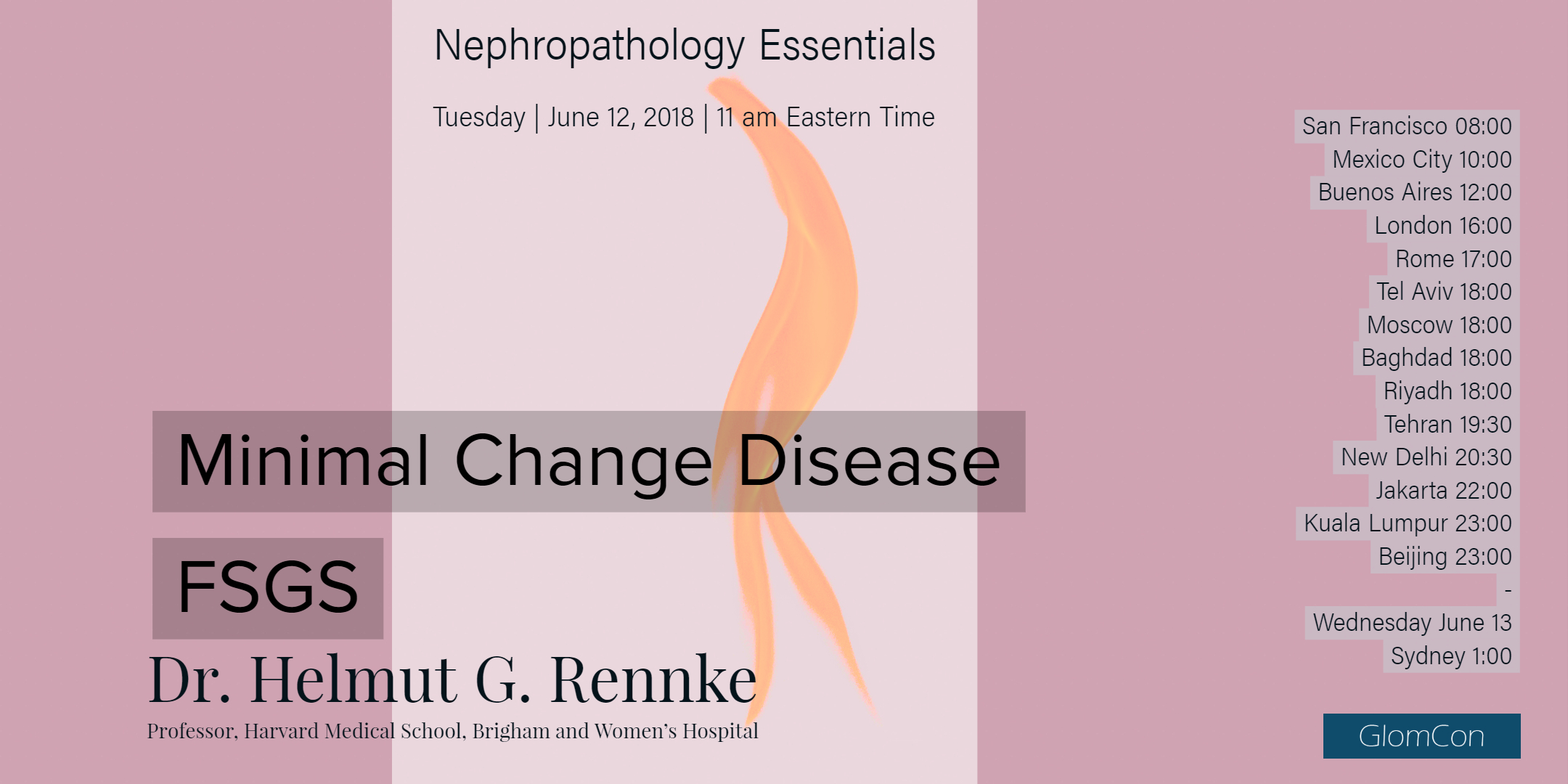 The Pathology of Minimal change disease/FSGS – Ibero-Latino América