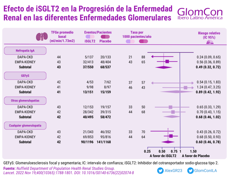 Inhibidores de SGLT-2 en la Enfermedad Glomerular – Ibero-Latino América